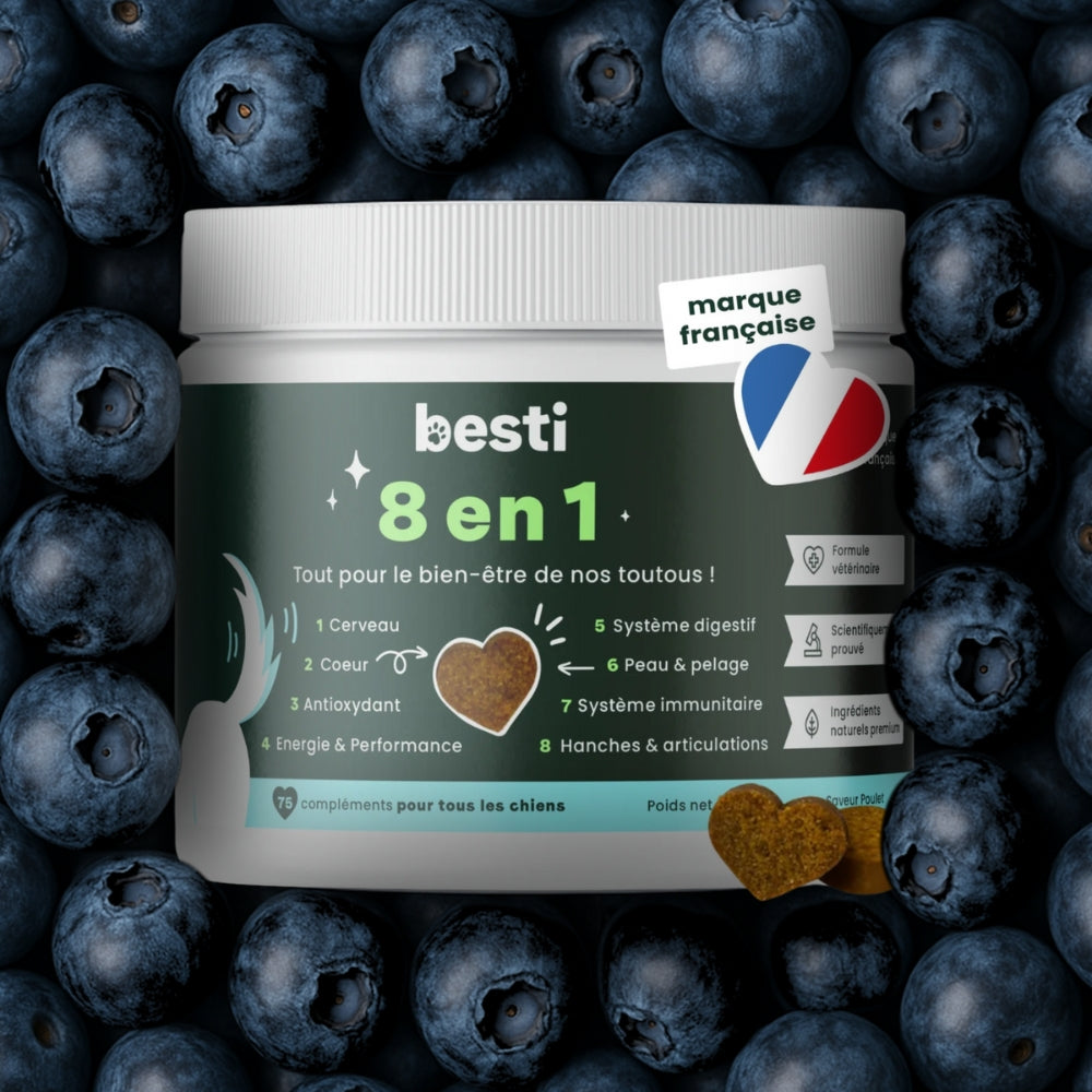 8 en 1 – besti