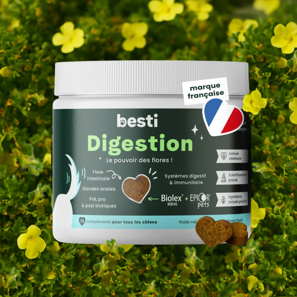 Faciliter Digestion chien : Les compléments alimentaires – besti